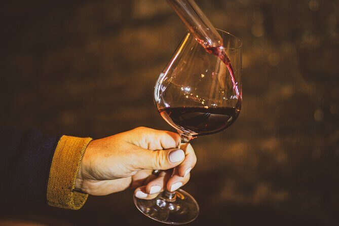 Luxurious Wine Tour in Burgundy - How the Day Unfolds: An In-Depth Look at the Itinerary