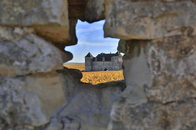 Luxury Luxury Wine Tour Experience - What Reviewers Say