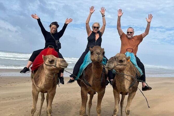 Luxury Tangier Private Day Tour from Marbella All inclusive - Final Thoughts