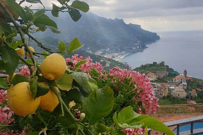 Luxury Tour from Positano to Pompei Ravello Amalfi - What’s Included and What’s Not