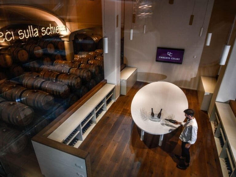 Luxury Wine Tasting with Food Pairing near Bologna - Who Would Enjoy This Tour?