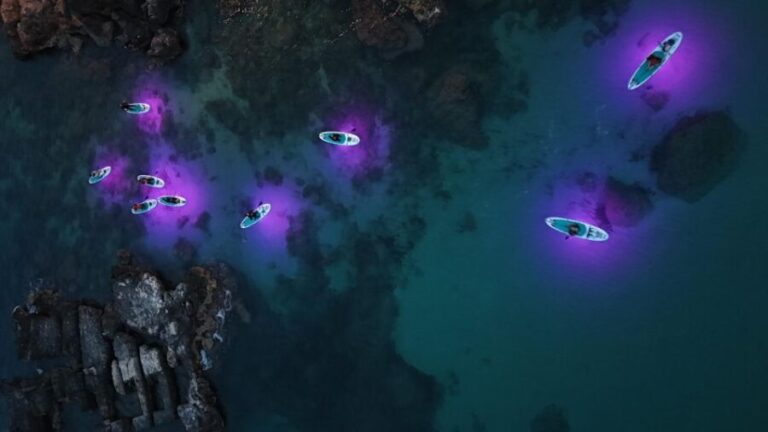 LUZ Sunset in SUP with Aperitif and light show - What We Love About This Tour