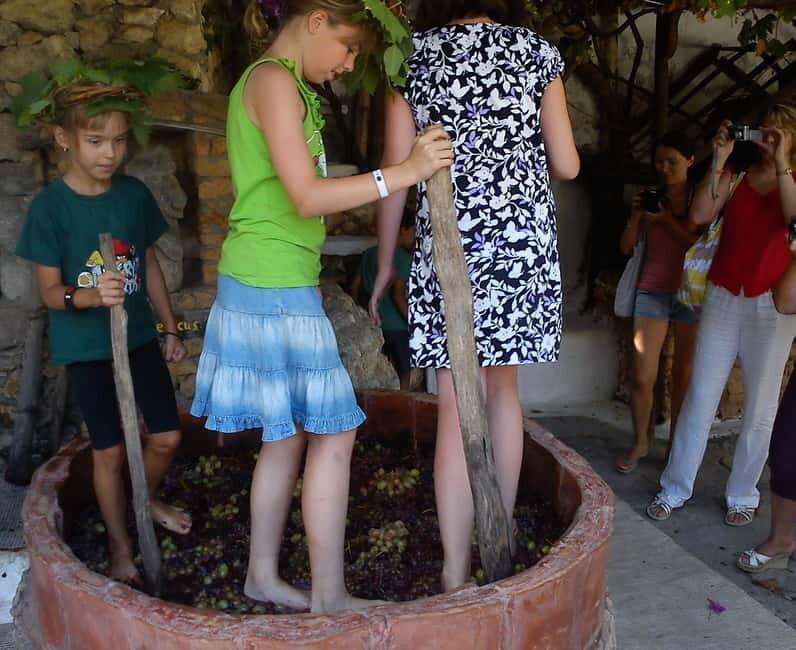 Lychnostatis Open Air Museum : Grape-Feast every Wednesday - What to Expect at the Lychnostatis Grape-Feast
