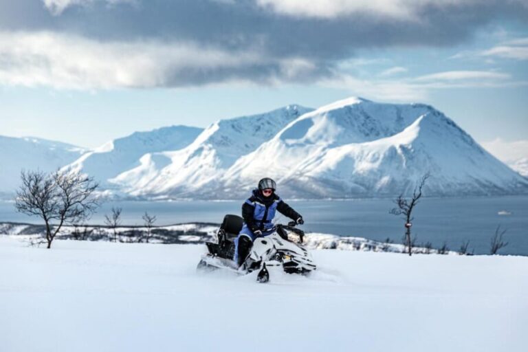 Lyngen: Snowmobile Safari with Lunch in seaside Restaurant - The Practicalities and Value of the Tour