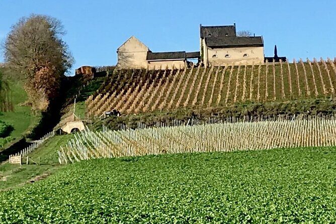 Maastricht Privat Sightseeing City Walk - The Sum Up