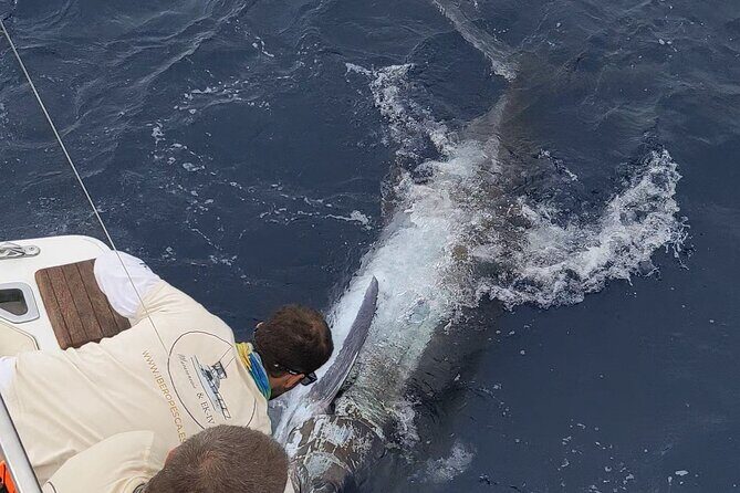 Macaronesia Charter Fishing in Lanzarote (Canary Islands) - Who Is This Tour Best For?