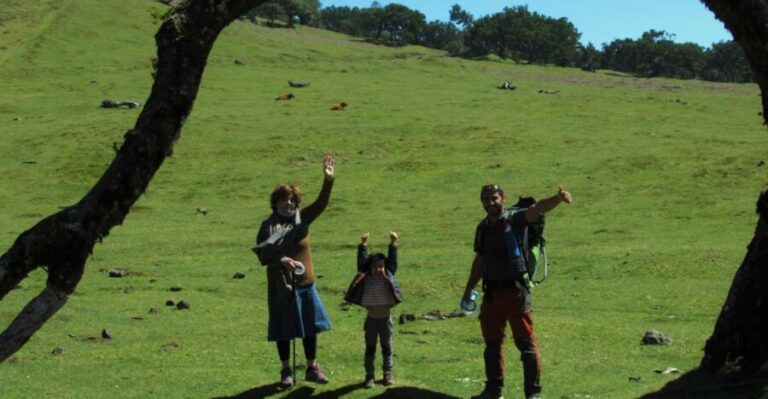 Madeira: Fanal Forest Guided Hiking Tour - Why This Tour Is a Good Fit