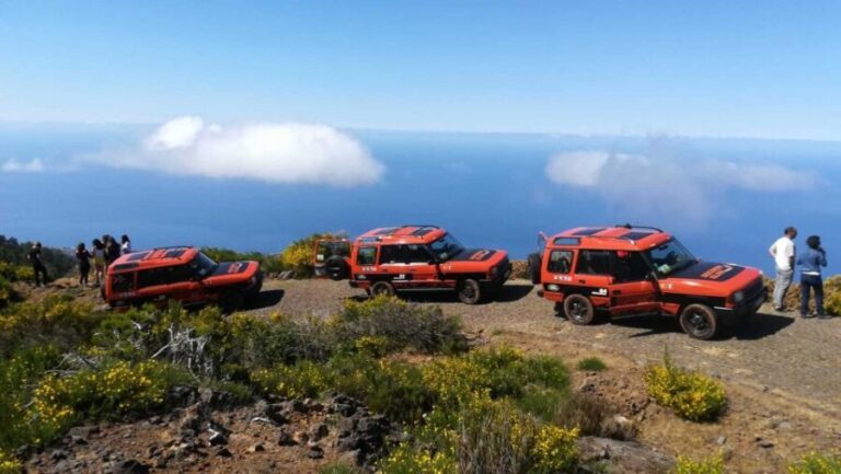Madeira: Full-Day Porto Moniz Jeep Tour - Transportation & Comfort