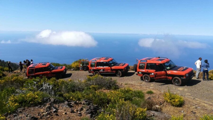 Madeira: Full-Day Porto Moniz Jeep Tour - Transportation & Comfort