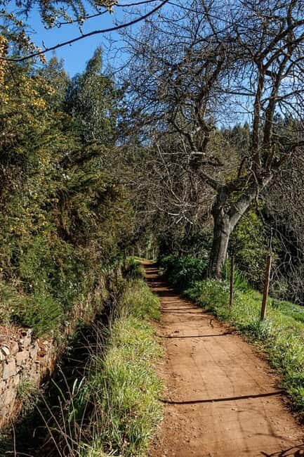 Madeira: Levada Paradise Valley Scenic Walk - Why this Tour Offers Great Value