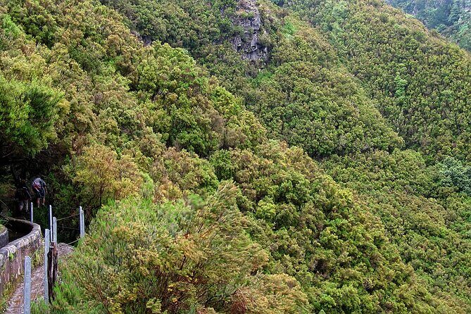Madeira Levada Walk - Rabacal Lakes and Fountains - Who Will Love This Tour?
