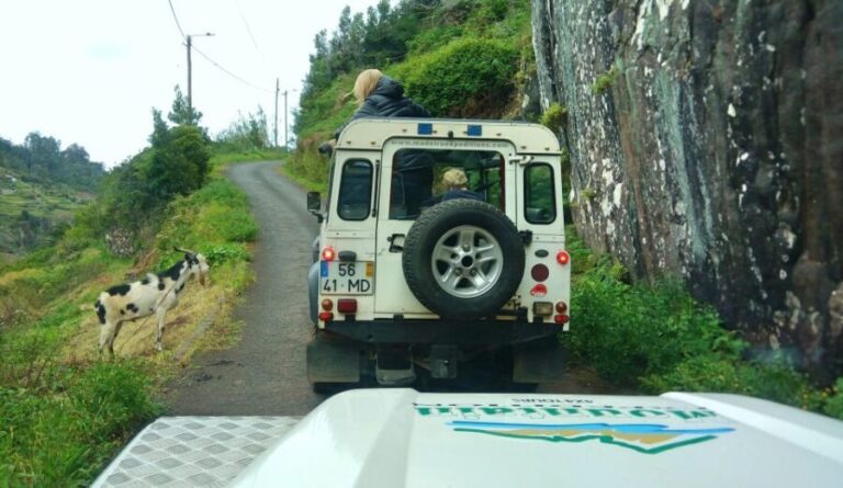 Madeira: Mini-Combo East Challenge: Jeep Safari + Levada - What’s Included and What to Bring