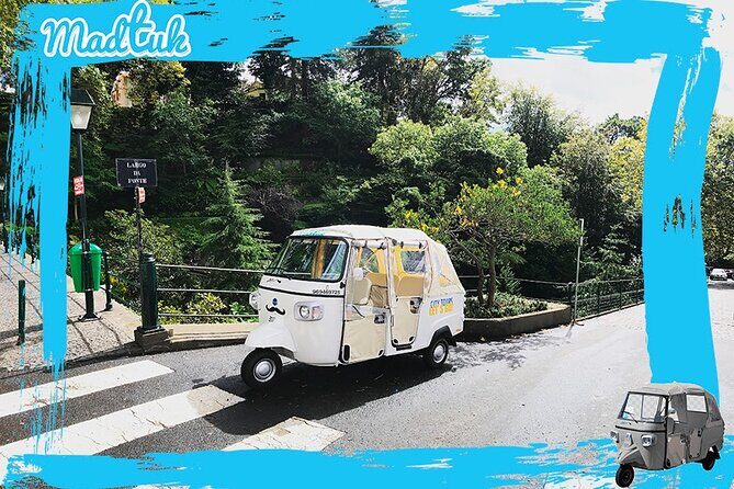 Madeira Monte Tobbogans and Old Town Tuk Tuk Tour by MadTuk - Pricing and Value