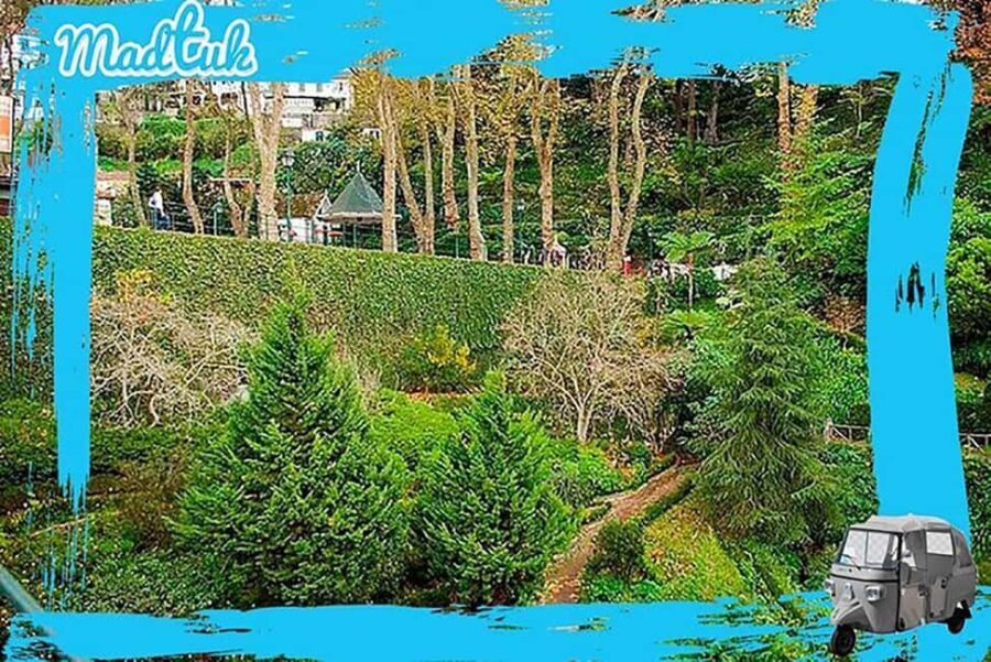 Madeira: Monte Toboggan & Old Town Guided Tuk Tour by MadTuk - The Experience – What to Expect
