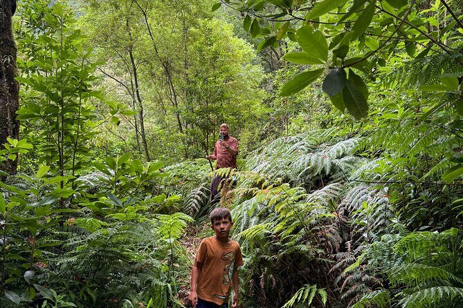 Madeira Off-Road 4x4 Jeep Adventure Private Full day Tour - Authentic Experiences Based on Real Reviews