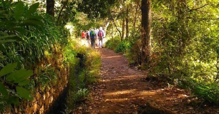 Madeira: Paradise Valley Levada Walk - The Sum Up