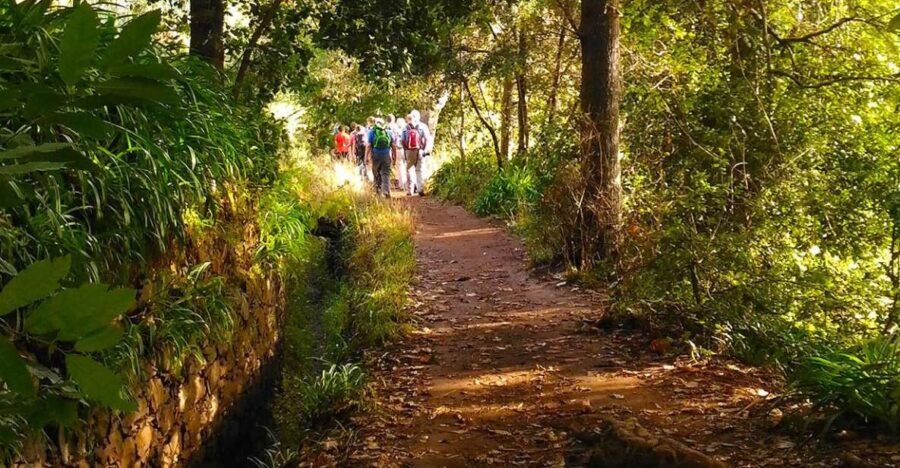 Madeira: Paradise Valley Levada Walk - The Sum Up