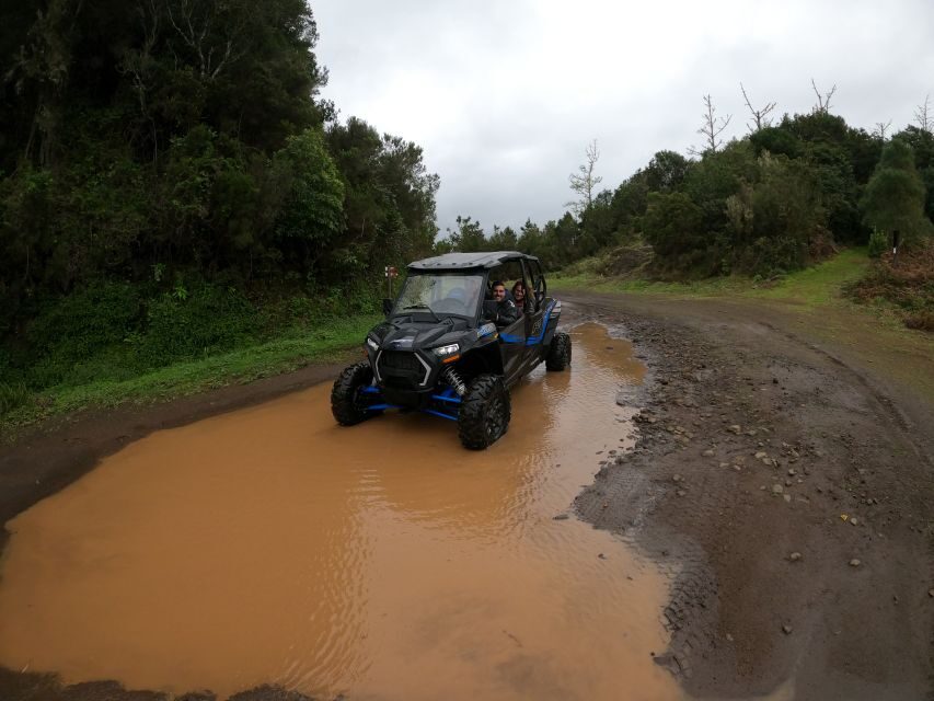 Madeira Private Buggy Adventure: Mountains and Forests - Pricing and Value