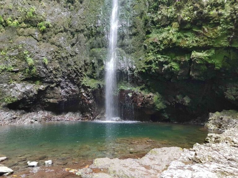 Madeira: Private Guided Levada Caldeirão Verde Walk PR9 - Logistics and Practicalities