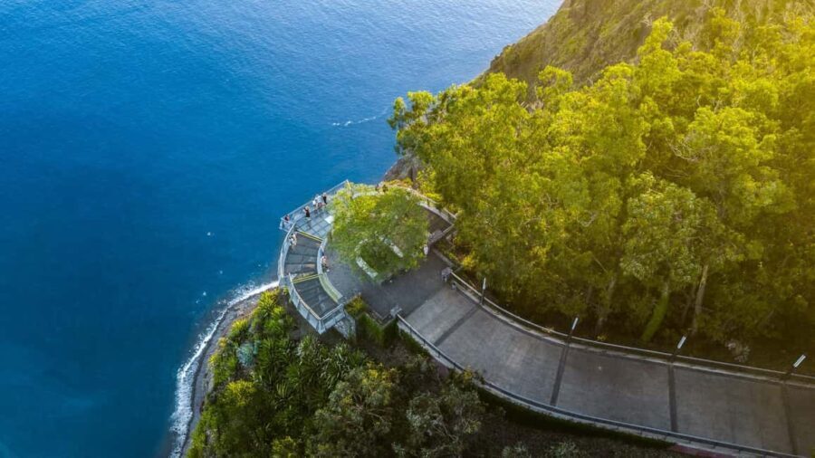 Madeira: Private Tour for Cruise Ship Passengers - Who Will Love This Experience?