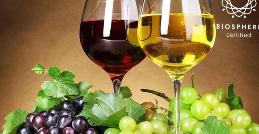 Madeira: Signature Wine Tasting, Skywalk & Nature Expedition - Exploring Madeira’s Landscape and Culture