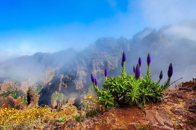 Madeira Stairway to Heaven to Larano Hike Mountain to Sea - What to Expect from This Madeira Mountain to Sea Tour