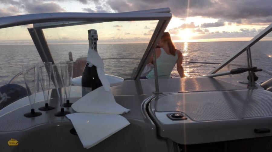 Madeira: Whale and Dolphin Watching Private Cruise - The Itinerary in Detail