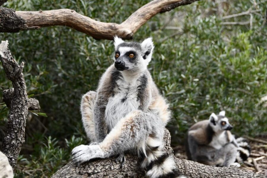 Madrid: Faunia Entry Ticket - Final Thoughts: Is Faunia Worth It?