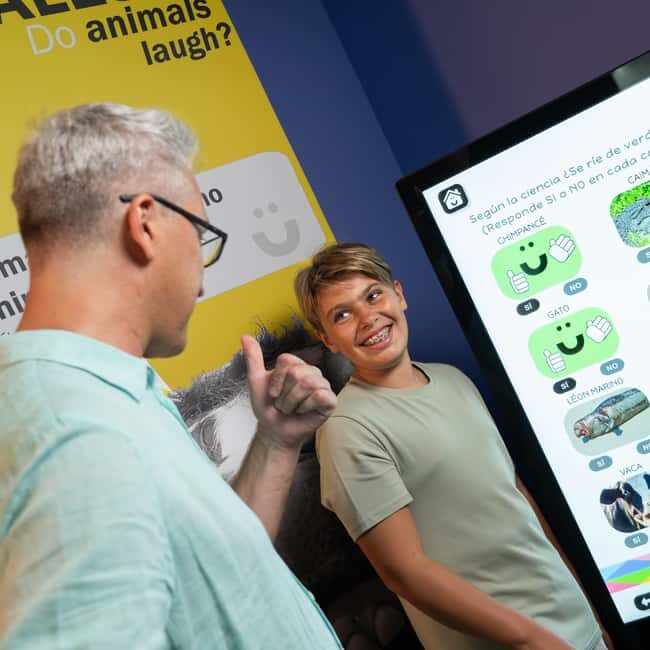 Madrid: Happiness Museum Interactive Experience Ticket - Special Events & Workshops