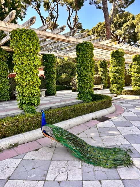 Madrid: Magic Retiro Park Bike Tour - Itinerary Breakdown and Highlights