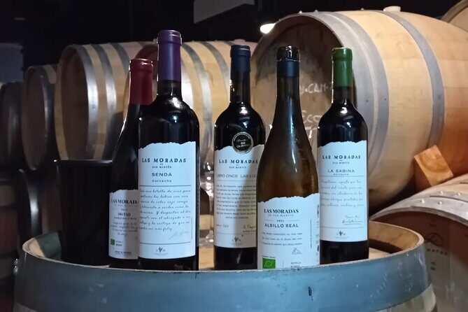 Madrid Wine Tour: Visit Two Wineries with Tastings - Who Should Book This Tour?