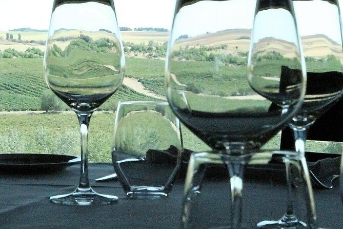 Madrid Wineries Private Tour with Hotel Pickup and Lunch - The Practical Side: Transportation, Timing & Cost