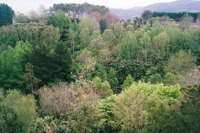 Magical and Exclusive Private Visit to the Fonte Baxa Garden, Luarca - Final Thoughts: Who Will Love This Experience?