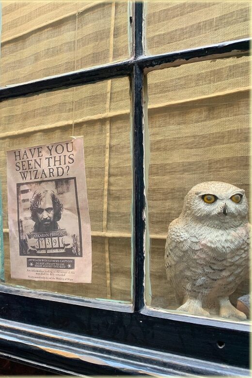 Magical Movies: London Harry Potter Tour - Practical Details That Matter