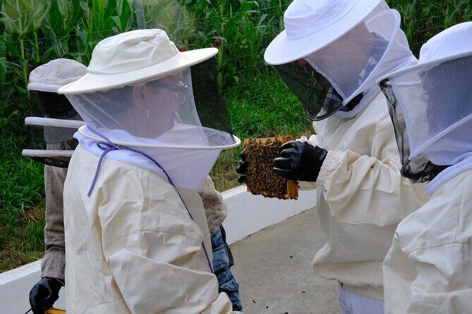 Magical World of Beekeeping on São Miguel Azores Private Tour - Why This Tour Offers Great Value