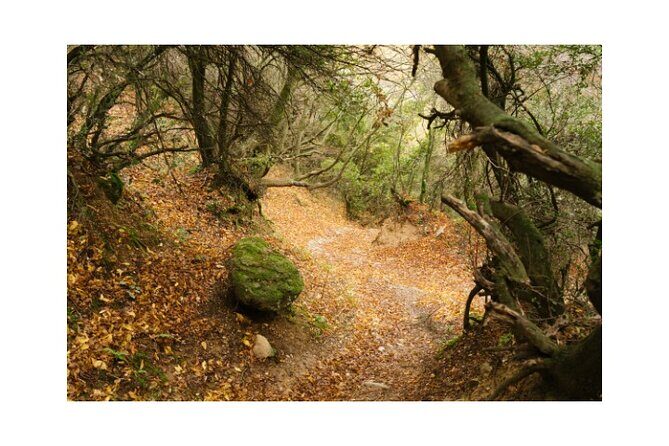 Majestic Meteora Private Morning Tours - In-Depth Breakdown of the Itinerary