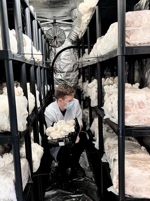 Makars Mushroom Farm Summerhall Tour with DIY Block Making - Exploring the Tour Itinerary and Experience