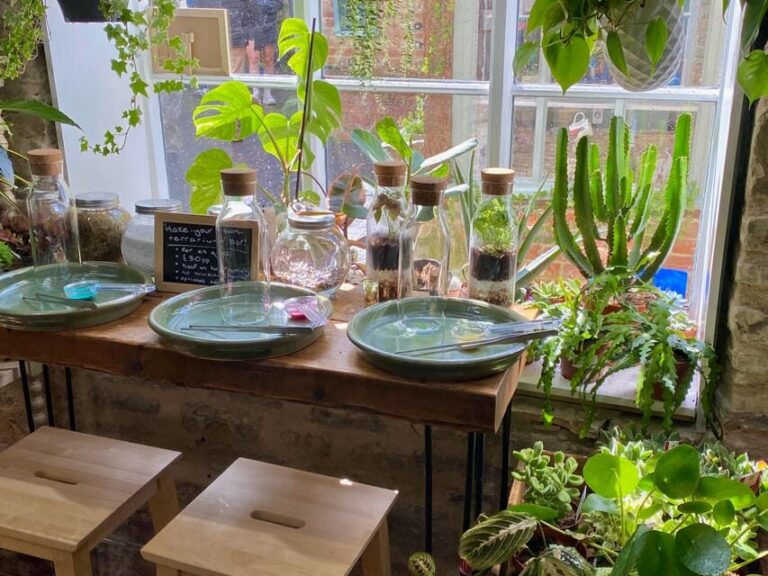 Make Your Own Terrarium in a houseplant paradise - Who Is This Experience Best For?