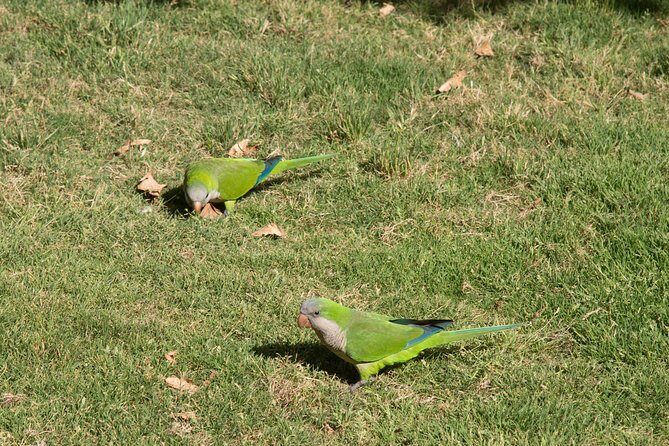 Malaga: E-Bike 3-Hour Sightseeing Tour - The E-Bike Experience: Comfort and Convenience