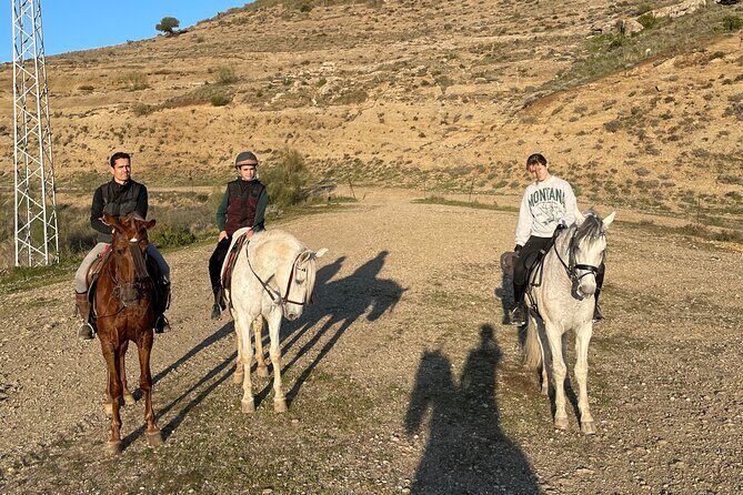 Malaga - guided horseback riding - What Reviewers Say