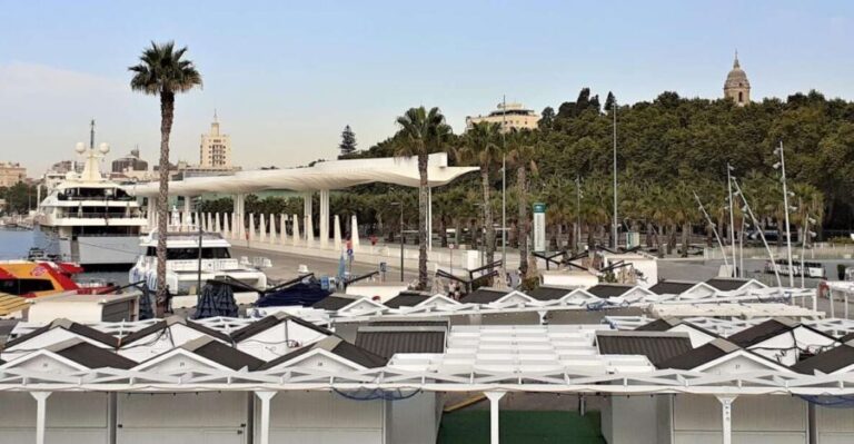 Malaga: Private walking tour - Highlight 1: The Majestic Cathedral