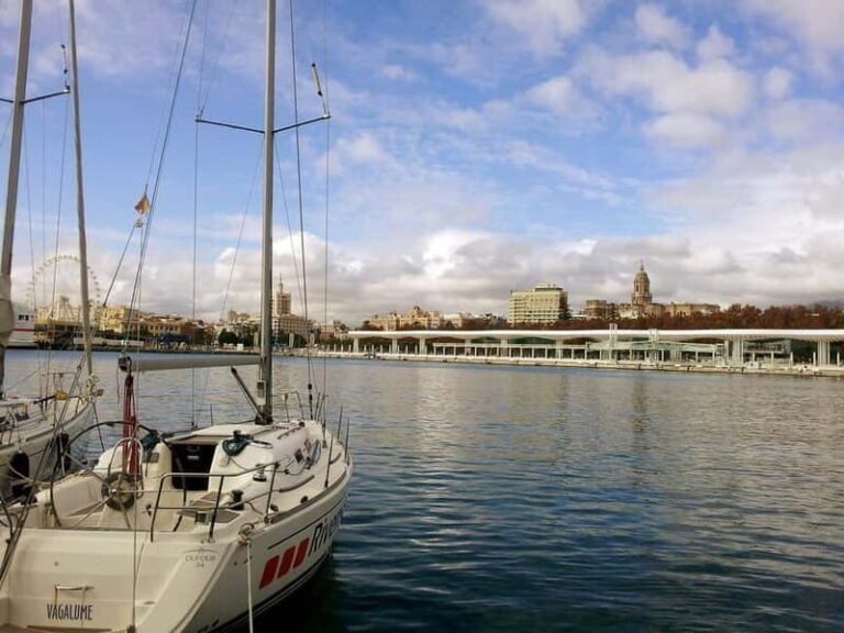 Malaga: Private Walking Tour with Official Guide - Who This Tour Is Best For