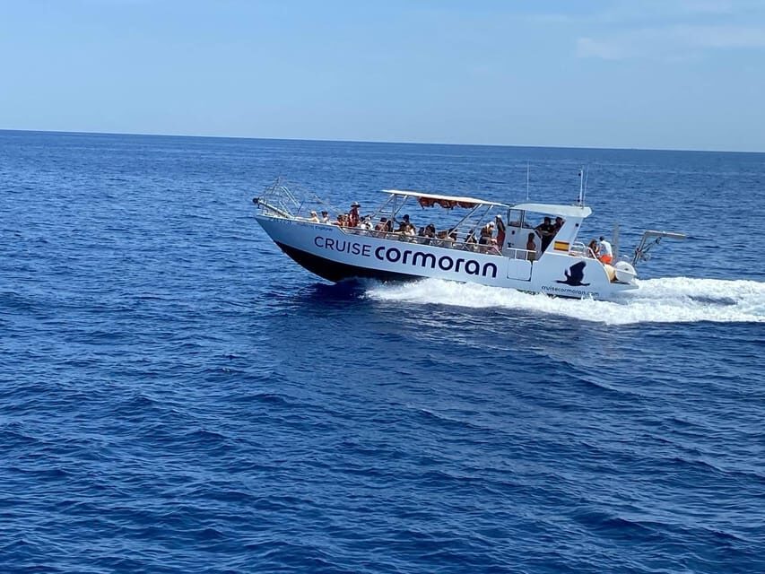 Mallorca: Caves, Cliffs, and Coves Boat Trip - Who Will Love This Tour?