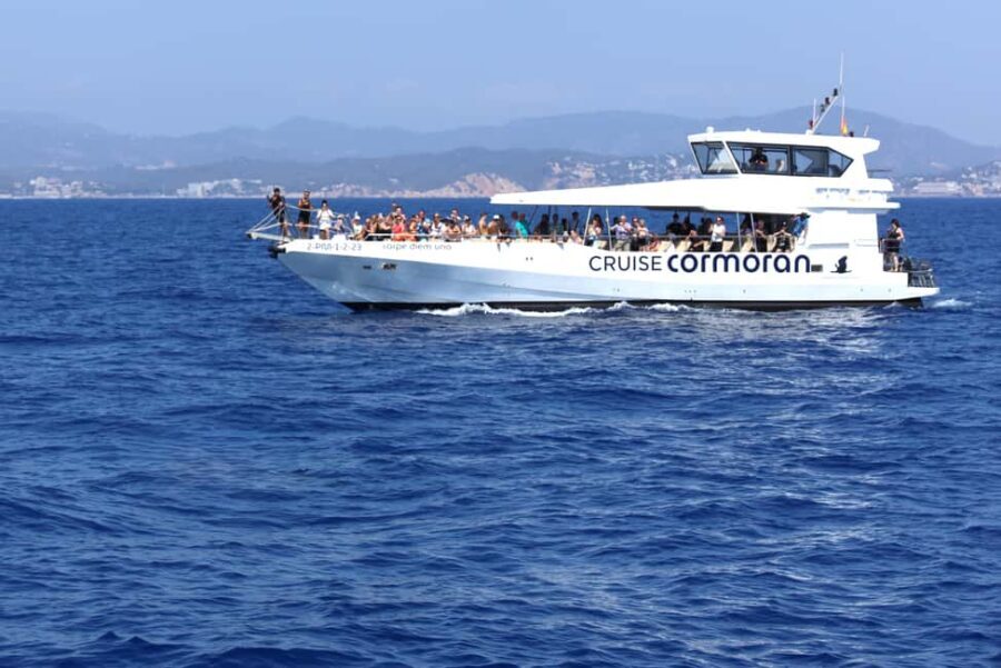 Mallorca: Cruise to Dragonera Island & Andratx Port - Final Words