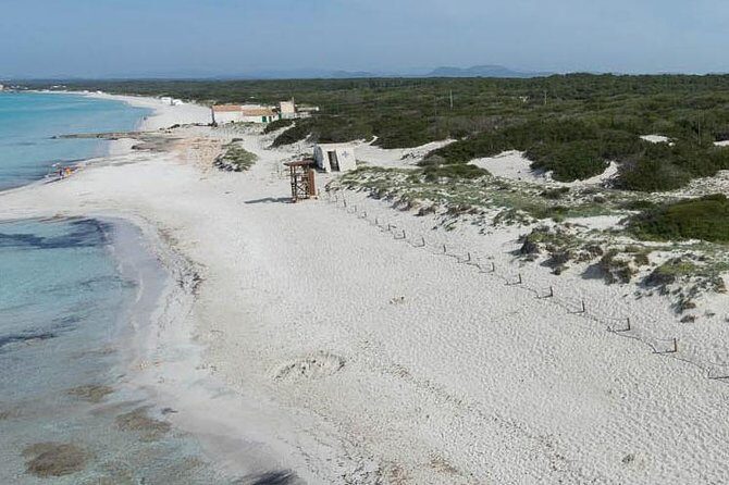 Mallorca Es Trenc Beach Day Tour with Hotel Pick up - The Itinerary in Detail