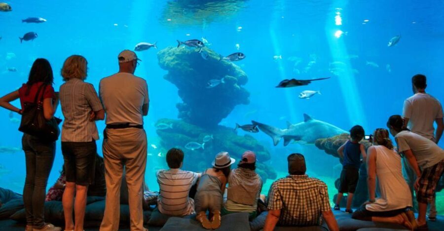 Mallorca: Palma Aquarium with Transfers, Guide & Fast Entry - The Experience from Guest Reviews
