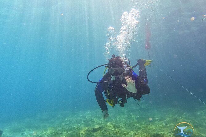 Mallorca PRIVATE Reservation*Scuba dive + photo/video - What to Expect from the Itinerary