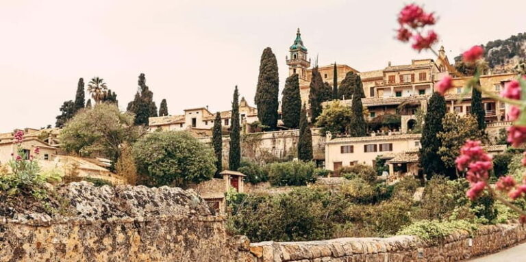 Mallorca: Puerto de Sóller and Valldemossa Morning Trip - The Experience in Detail