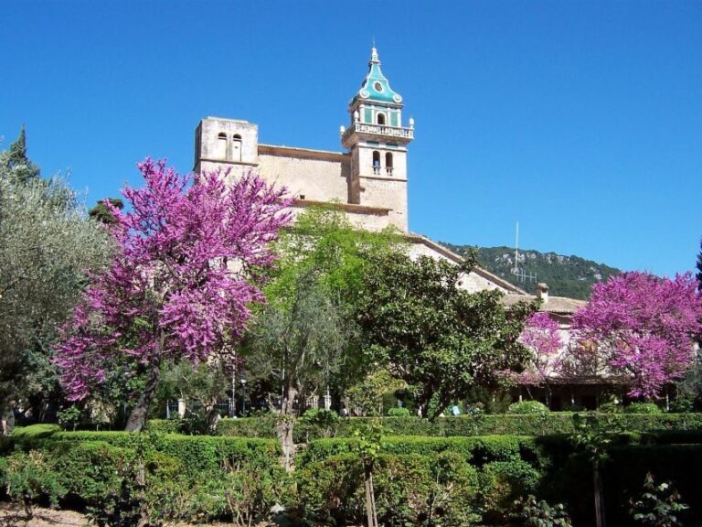 Mallorca: Soller Port and Valldemossa - Who Is This Tour Best Suited For?