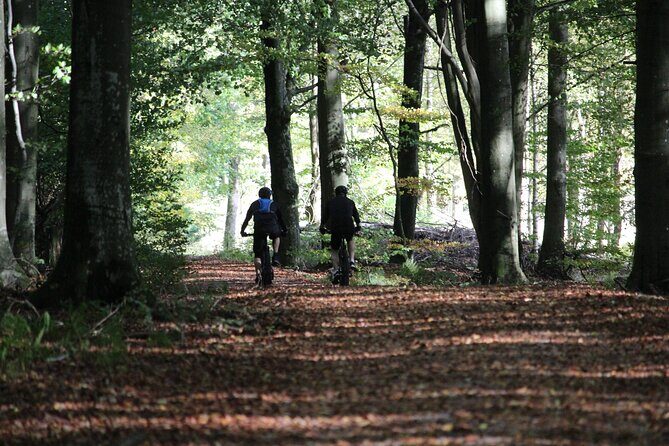 Malmo Bike Rental - What to Expect During Your Rental